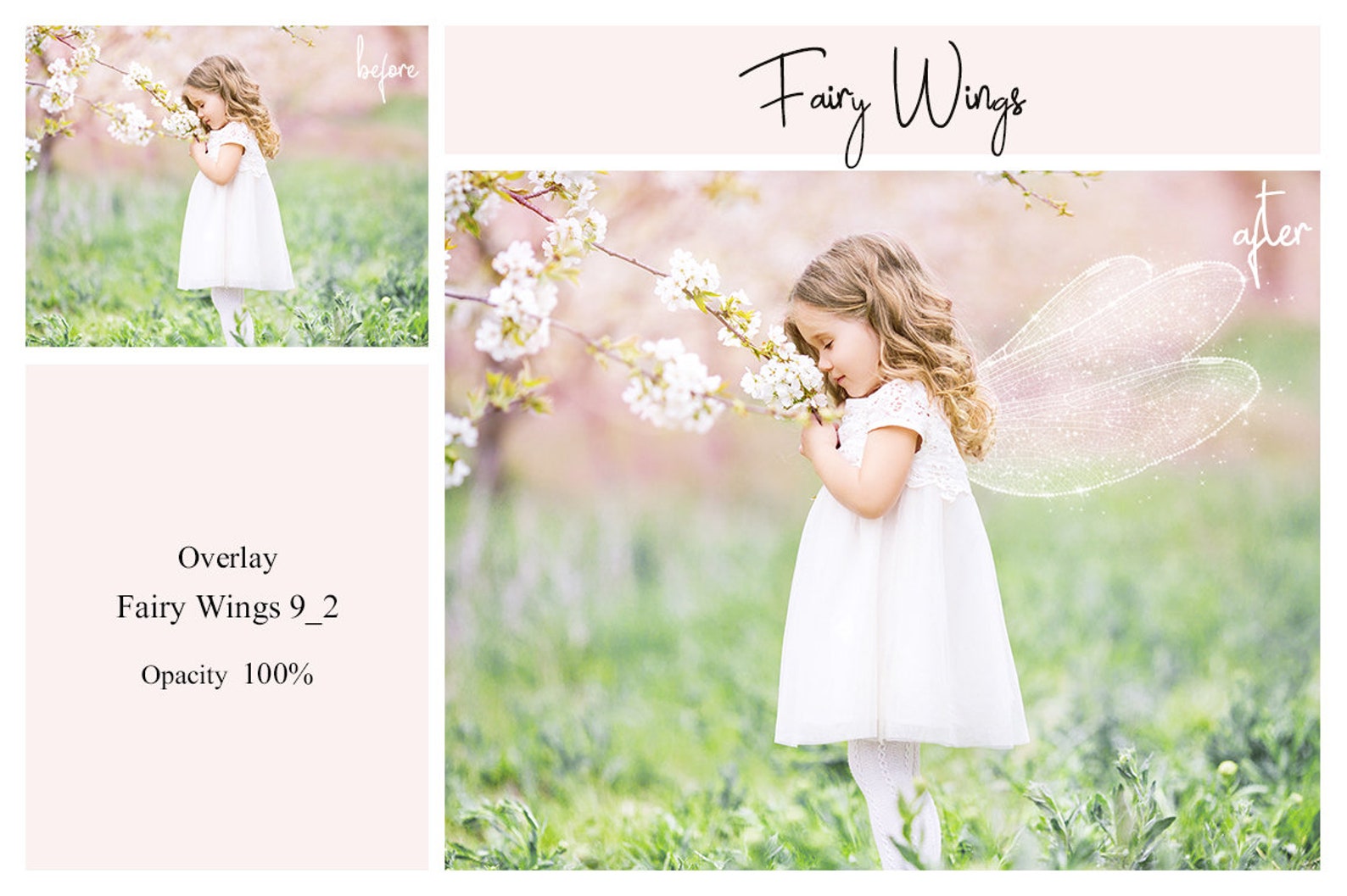 40 Fairy Wings Overlays Fairy PS Overlays Butterfly Wings - Etsy