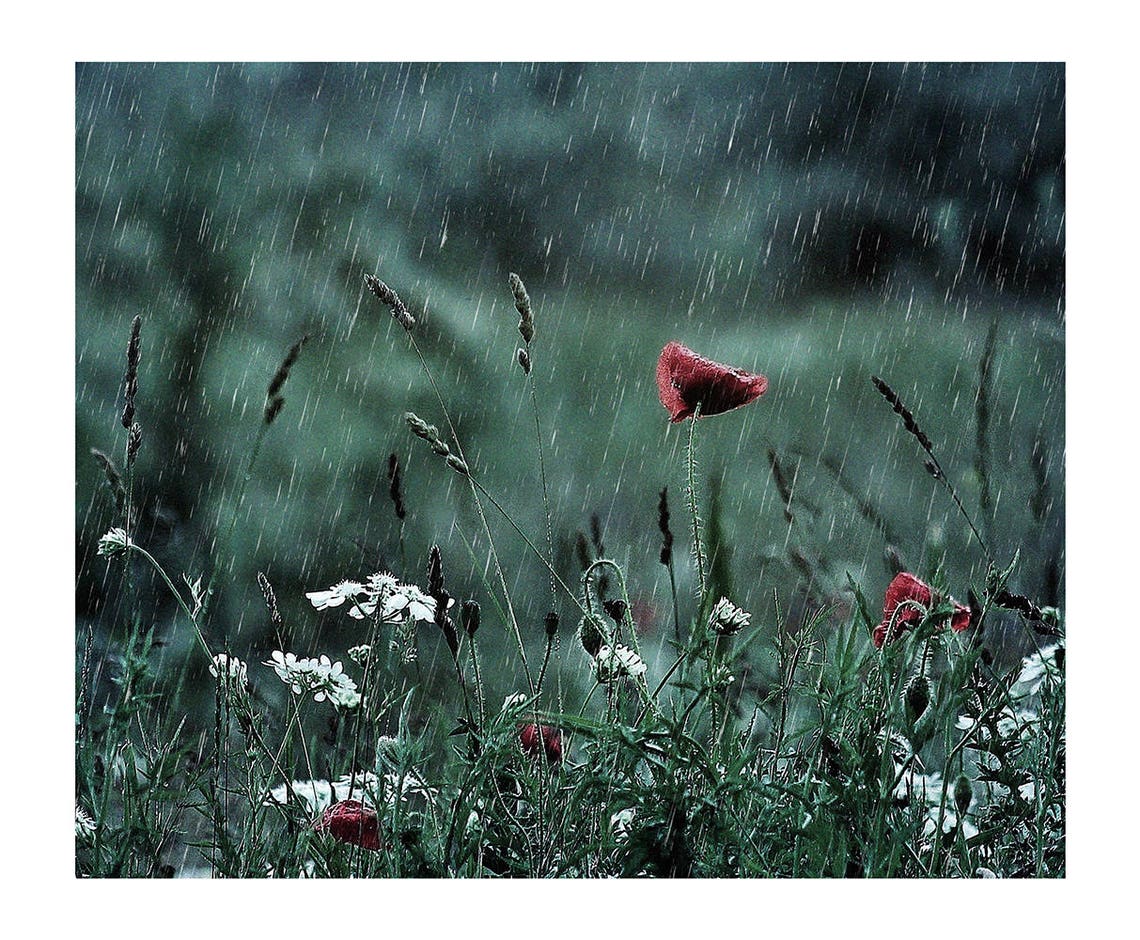 20 Rain Overlays Rain Textures Rain Photoshop Overlays - Etsy Israel