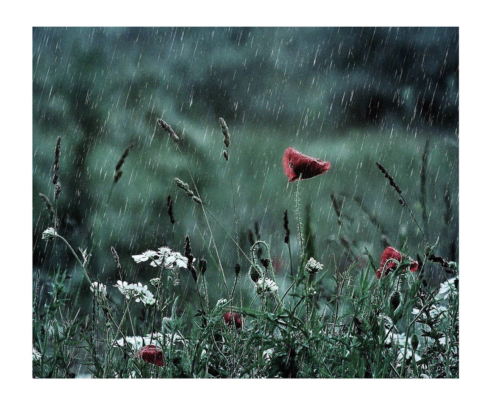 20 Rain Overlays Rain Textures Rain Photoshop Overlays - Etsy Israel