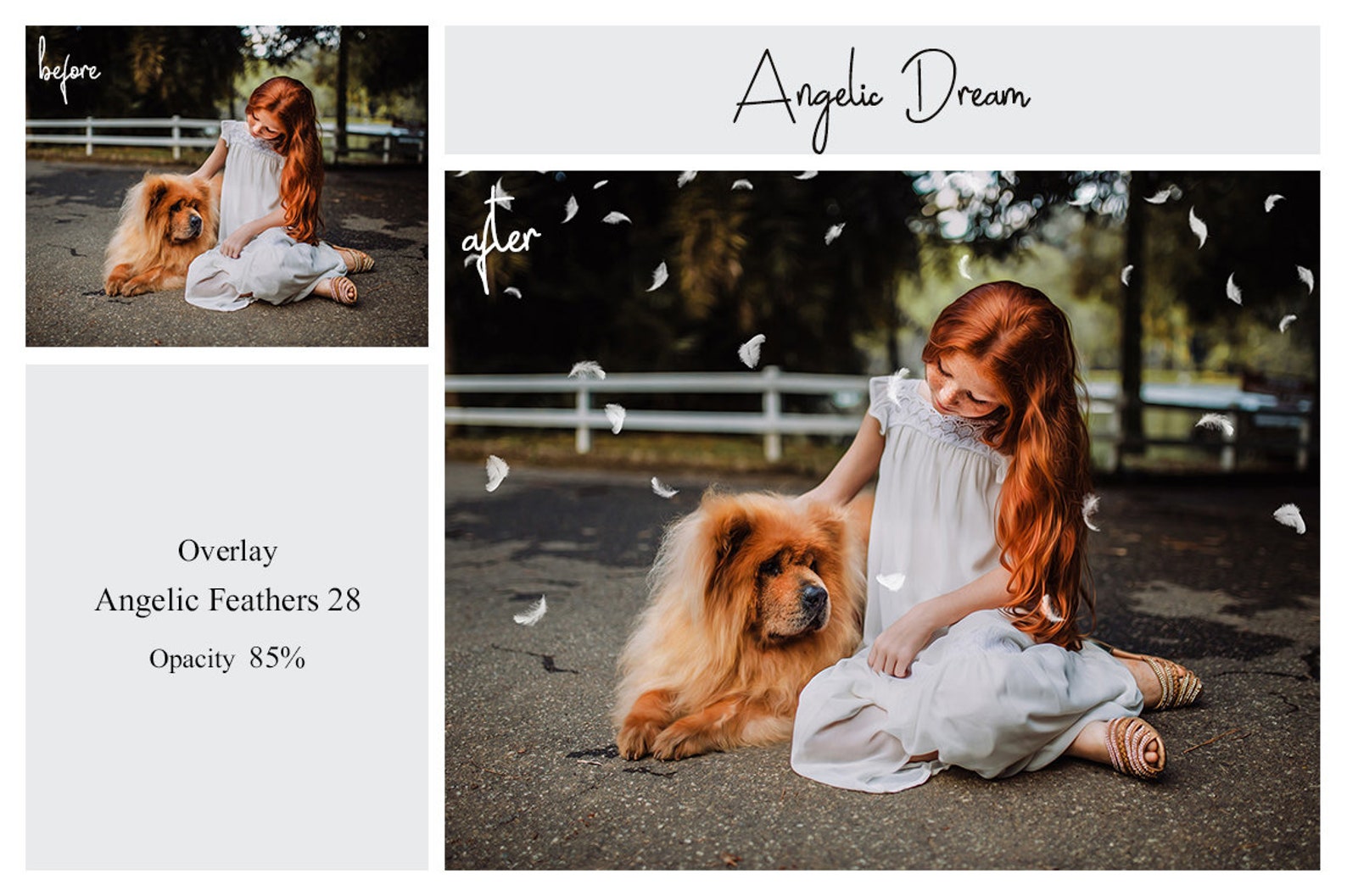 30 Angelic Feather Overlays Photoshop Overlays Feather | Etsy