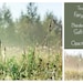 25 Summer Textures - Photoshop Overlays - Bokeh Textures - Fine Art ...