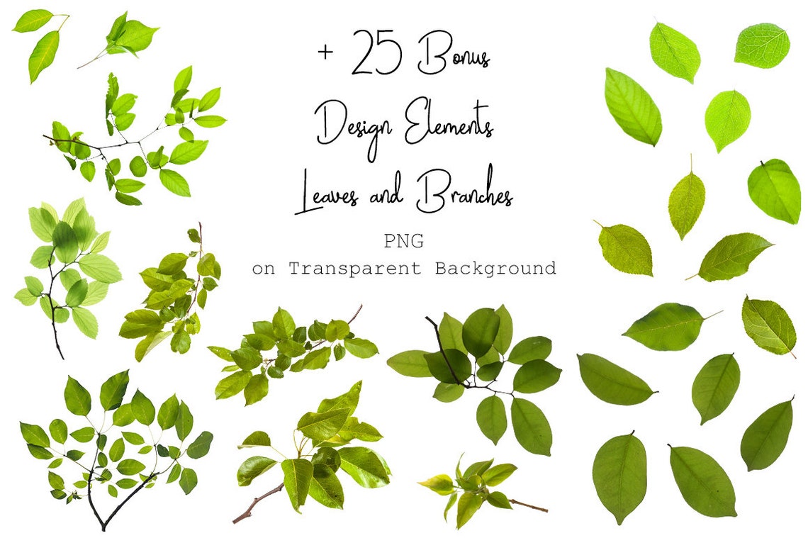 120 Green Branches Overlays Spring Overlays Tree Branches - Etsy