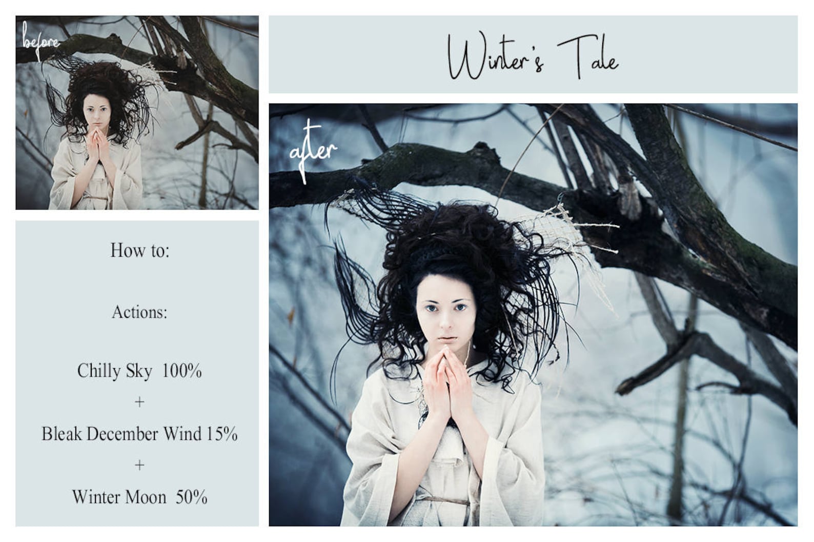 10 Winter Actions - Winter Photoshop Actions - Artistic Actions - PS ...