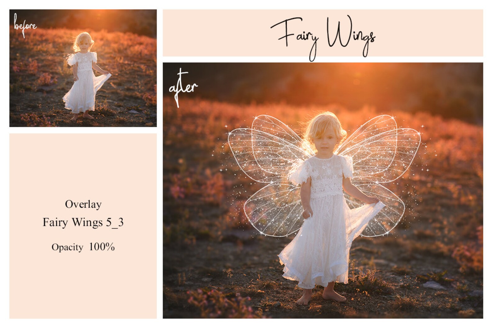 40 Fairy Wings Overlays Fairy PS Overlays Butterfly Wings - Etsy