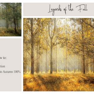 10 Fall Actions - Autumn Photoshop Action - Artistic Action - PS Action ...