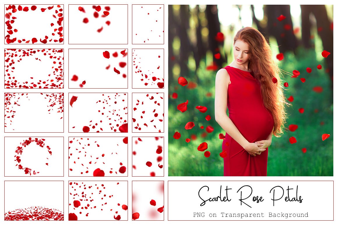 130 Red Rose Petals Overlays Rose Overlays Valentines Day - Etsy