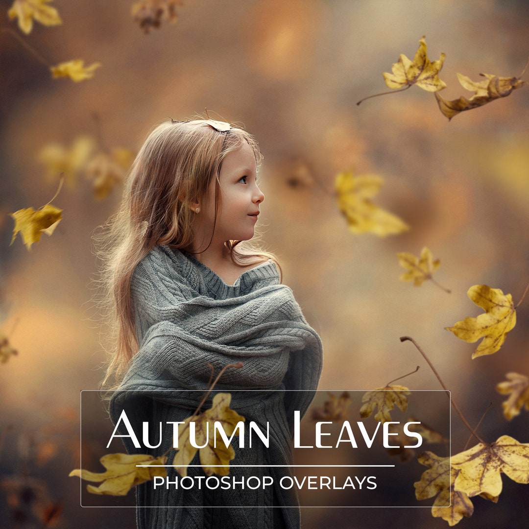 200 Autumn Leaves Overlays - PNG - Transparent Background - Leaves Clip ...