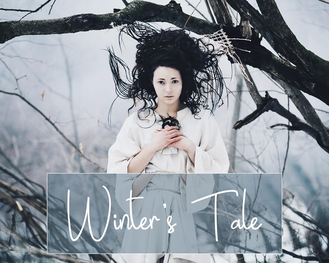 10 Winter Actions - Winter Photoshop Actions - Artistic Actions - PS ...