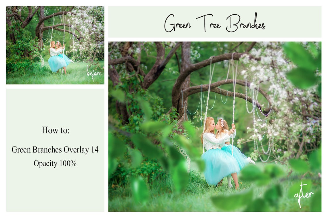 120 Green Branches Overlays Spring Overlays Tree Branches - Etsy