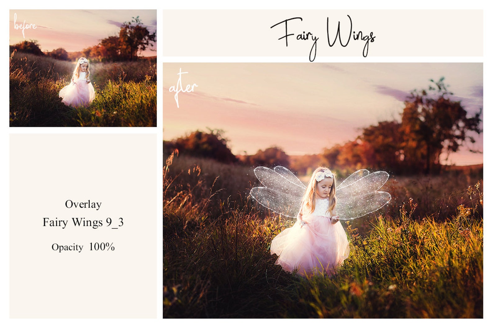 40 Fairy Wings Overlays Fairy PS Overlays Butterfly Wings - Etsy