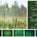 25 Summer Textures - Photoshop Overlays - Bokeh Textures - Fine Art ...