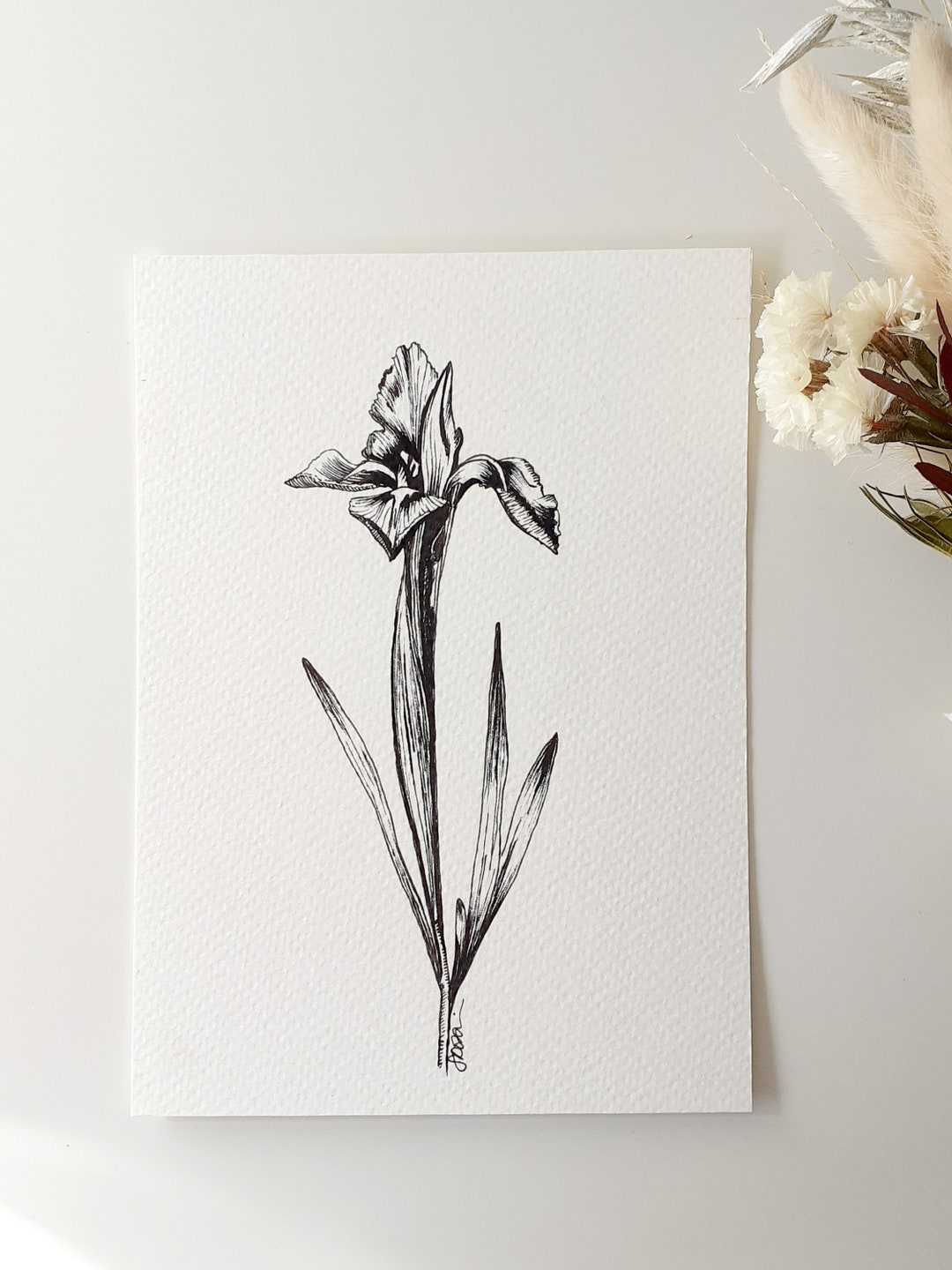 Botanical Iris Print/Elegant flower Monochrome Ink Sketch/Floral ...
