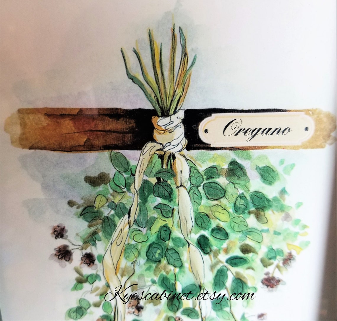 Peggy Abrams Framed Botanical Prints chives and - Etsy