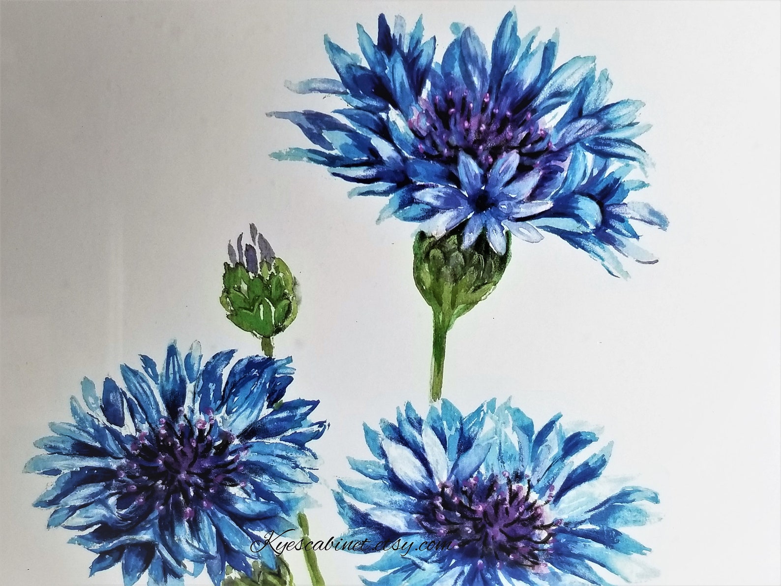 Framed Cornflower Art Print by Creative Co-op Blue - Etsy