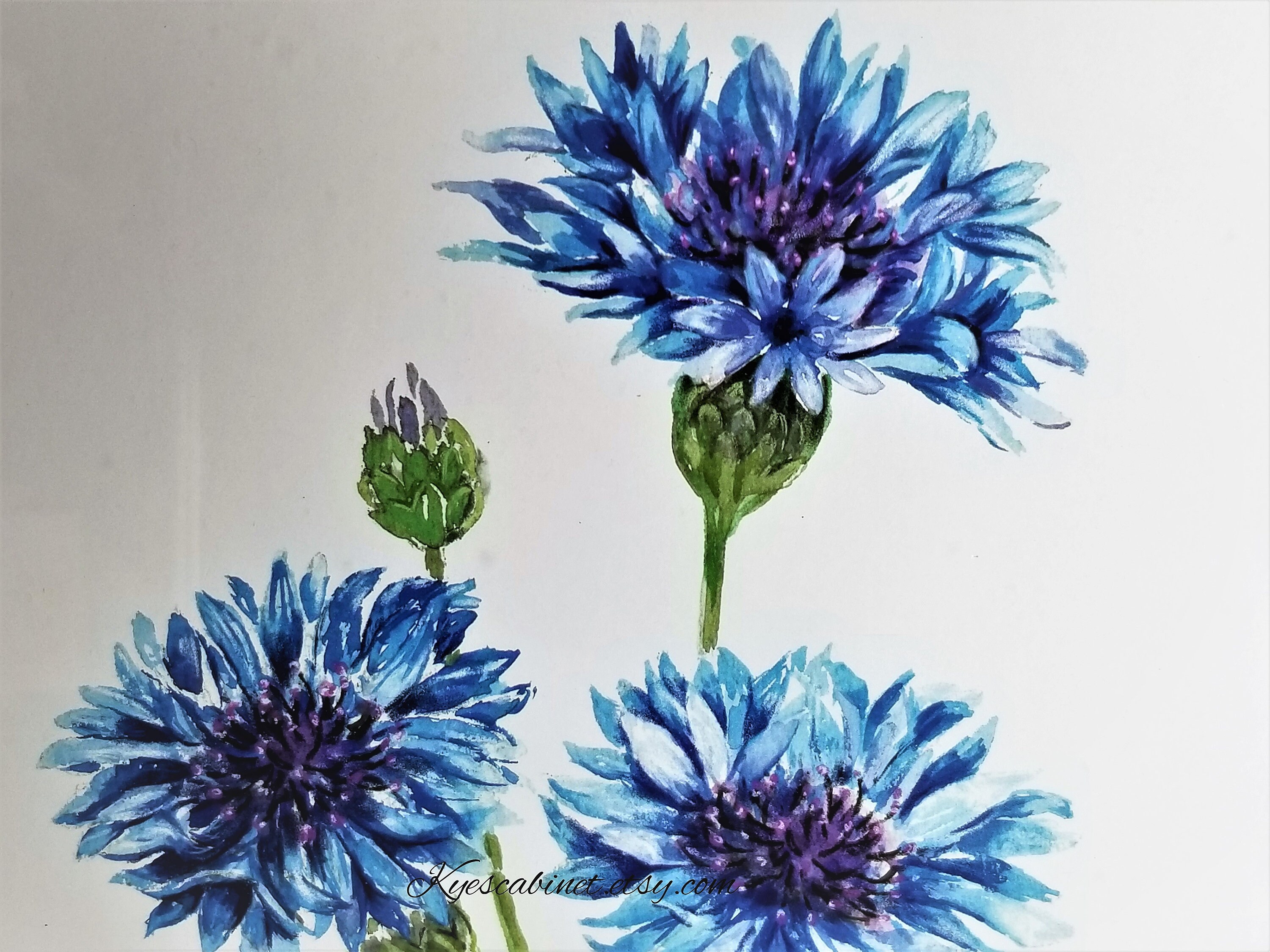 Framed Cornflower Art Print by Creative Co-op Blue - Etsy