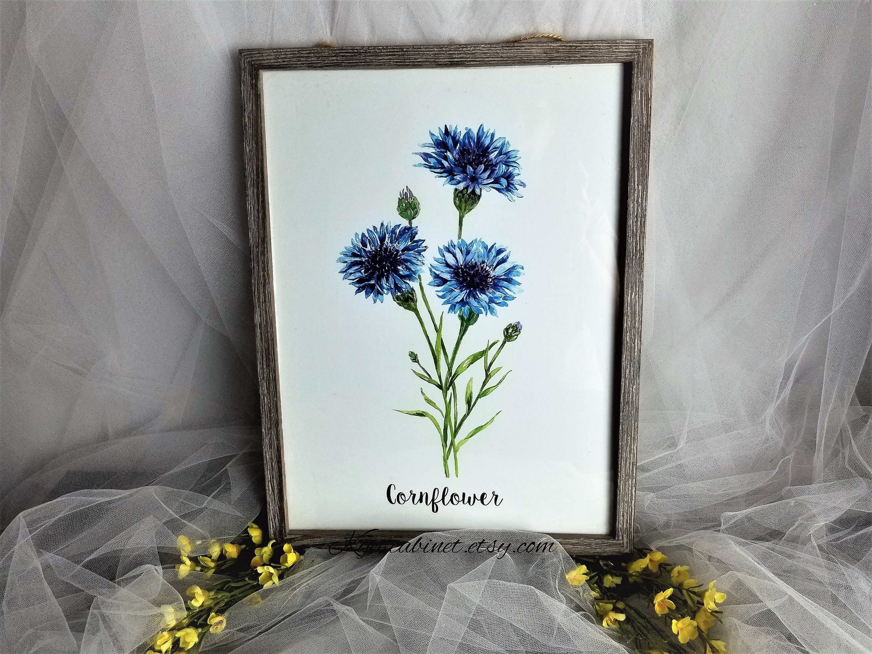 Framed Cornflower Art Print by Creative Co-op Blue - Etsy