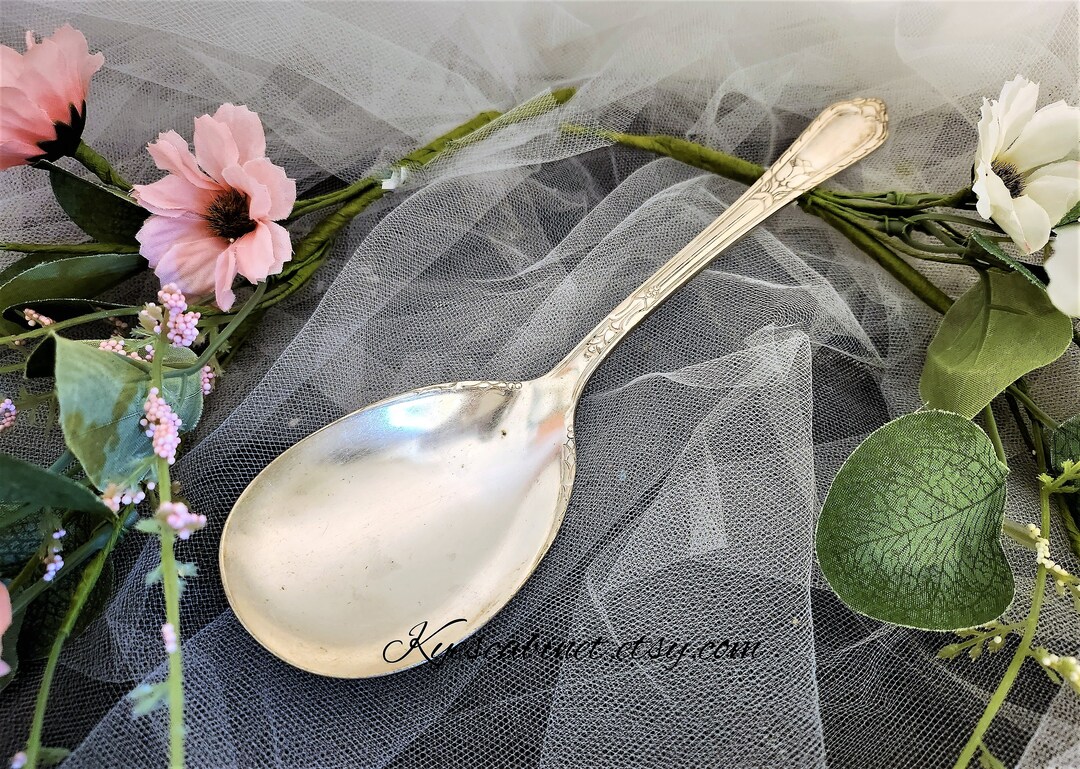 Holmes & Edwards Silver Plate Serving Spoon in Masterpiece - Etsy