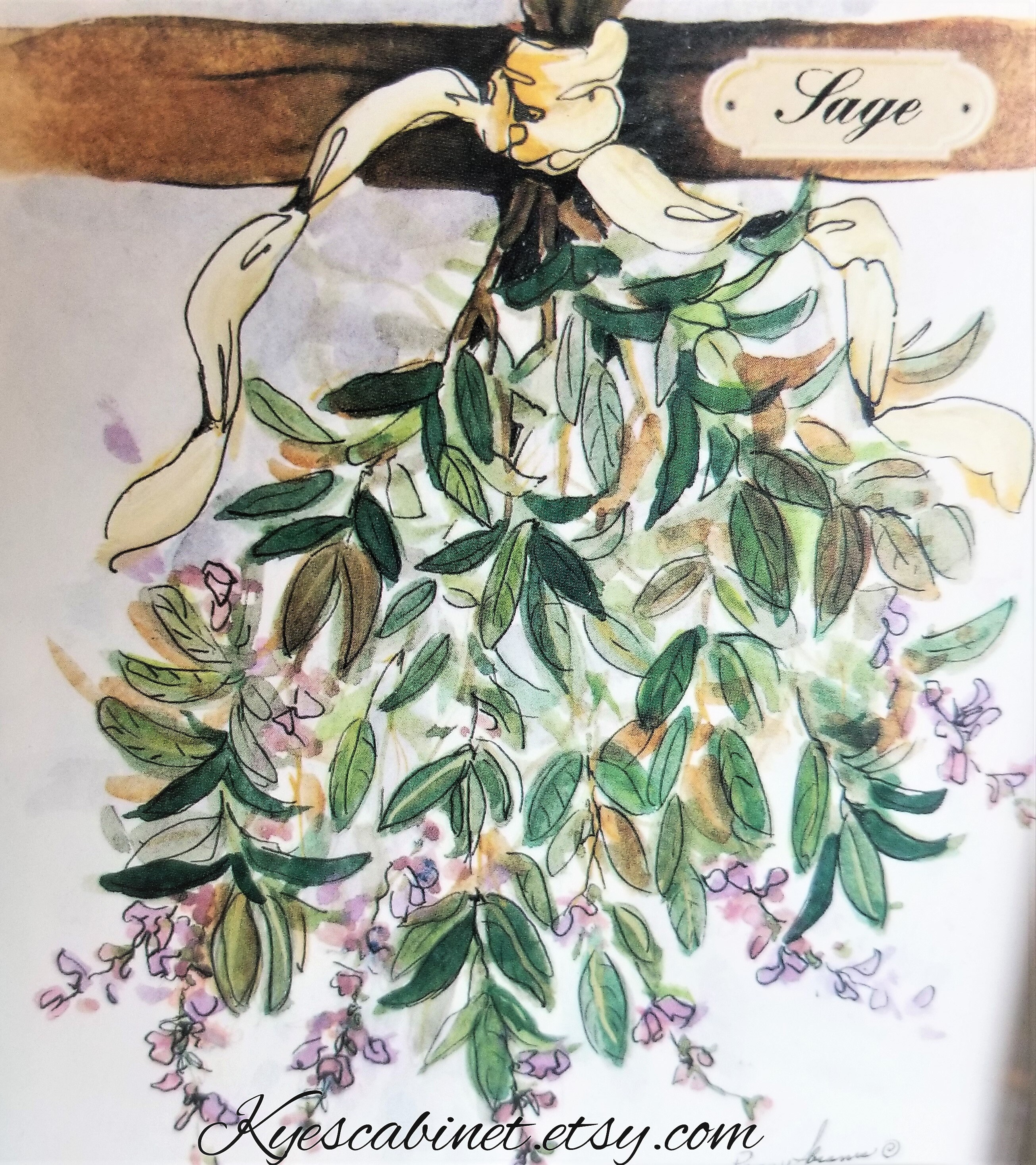 Peggy Abrams Framed Botanical Prints rosemary and - Etsy