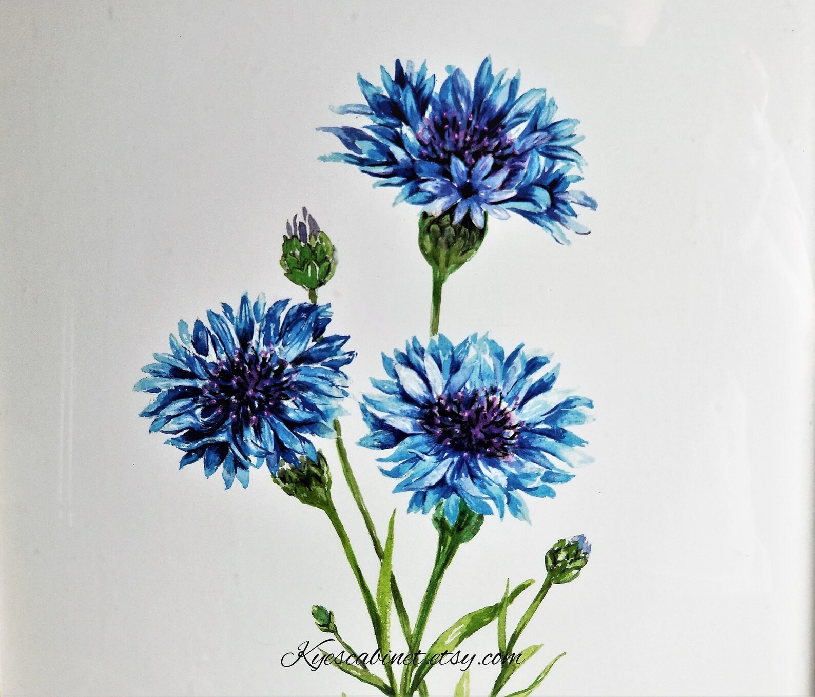 Framed Cornflower Art Print by Creative Co-op Blue - Etsy