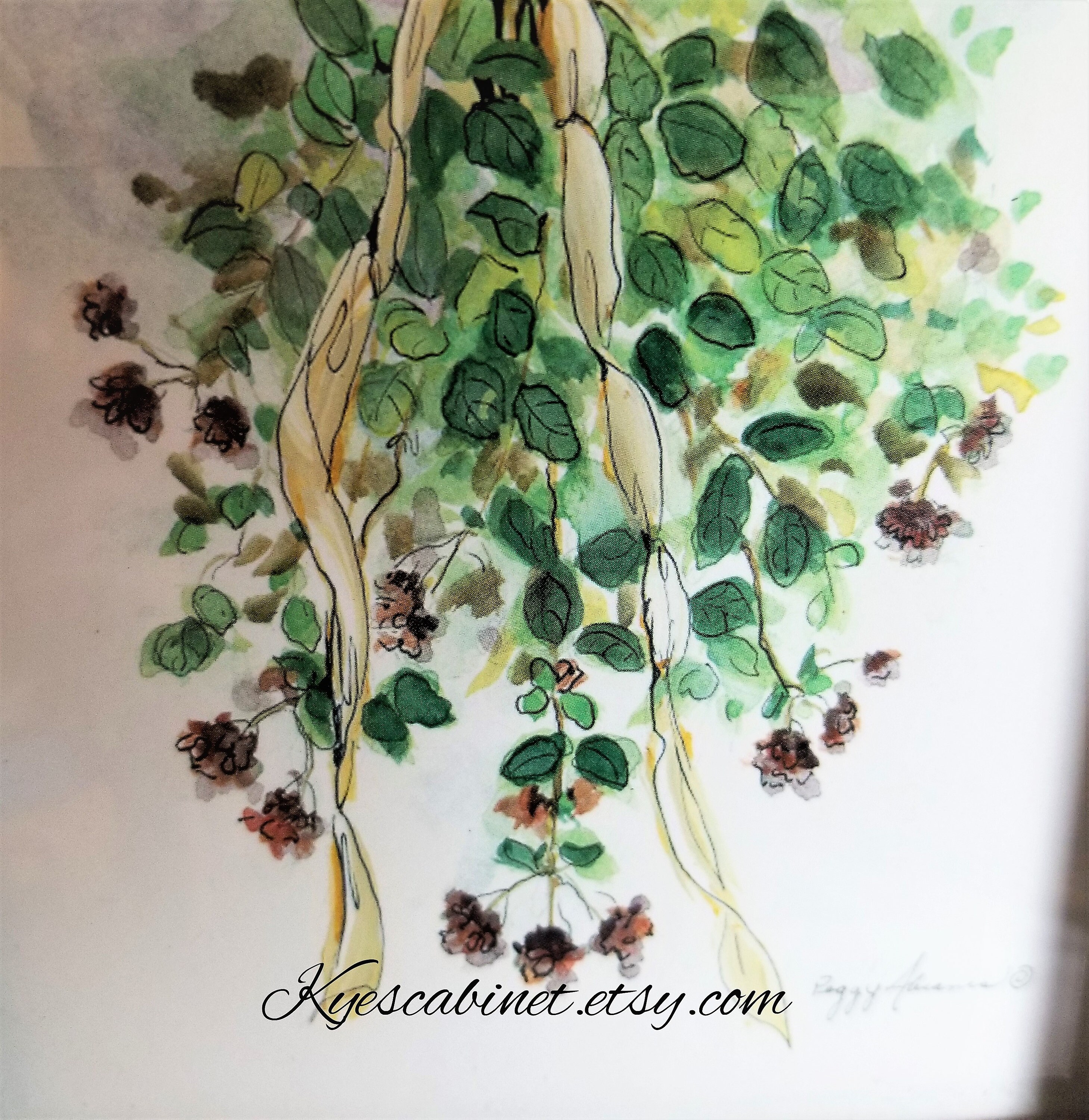 Peggy Abrams Framed Botanical Prints chives and - Etsy