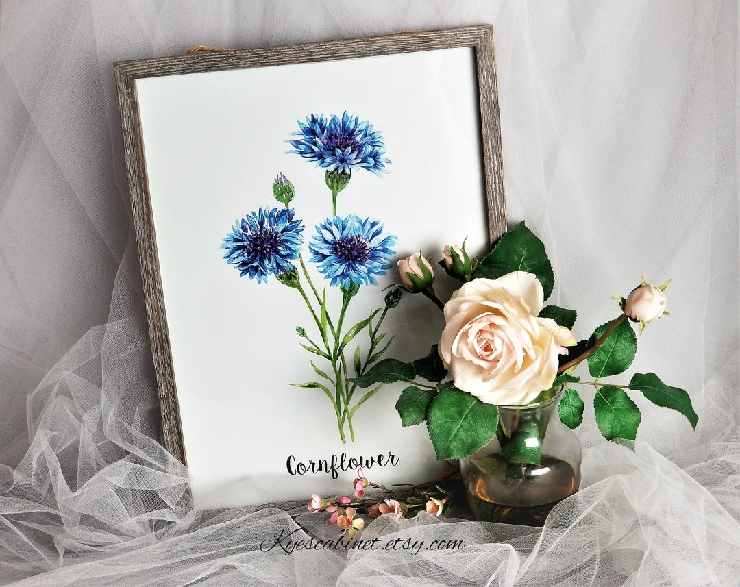Framed Cornflower Art Print by Creative Co-op, Blue Cornflowers ...