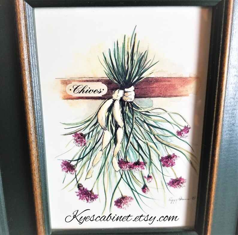 Peggy Abrams Framed Botanical Prints chives and - Etsy