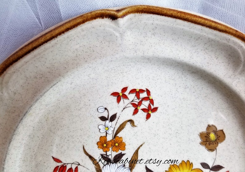 Sunmarc Stoneware Dinner Plates Set of Five Endura Collection - Etsy
