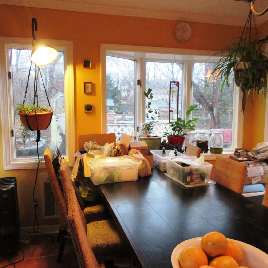 Oh My Bum Diaper Cream All-Natural Diaper Rash Cure Bottom | Etsy