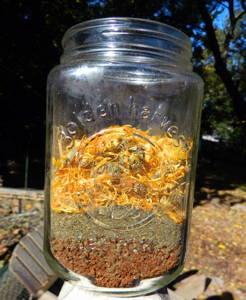 Baggage Check - Depuff and Dark Circle Potion Rollerball - Coffee and ...