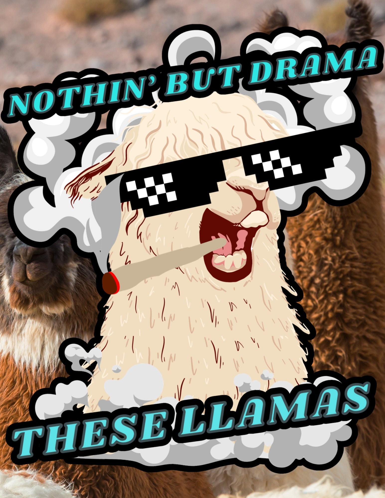 Drama Llama Meme