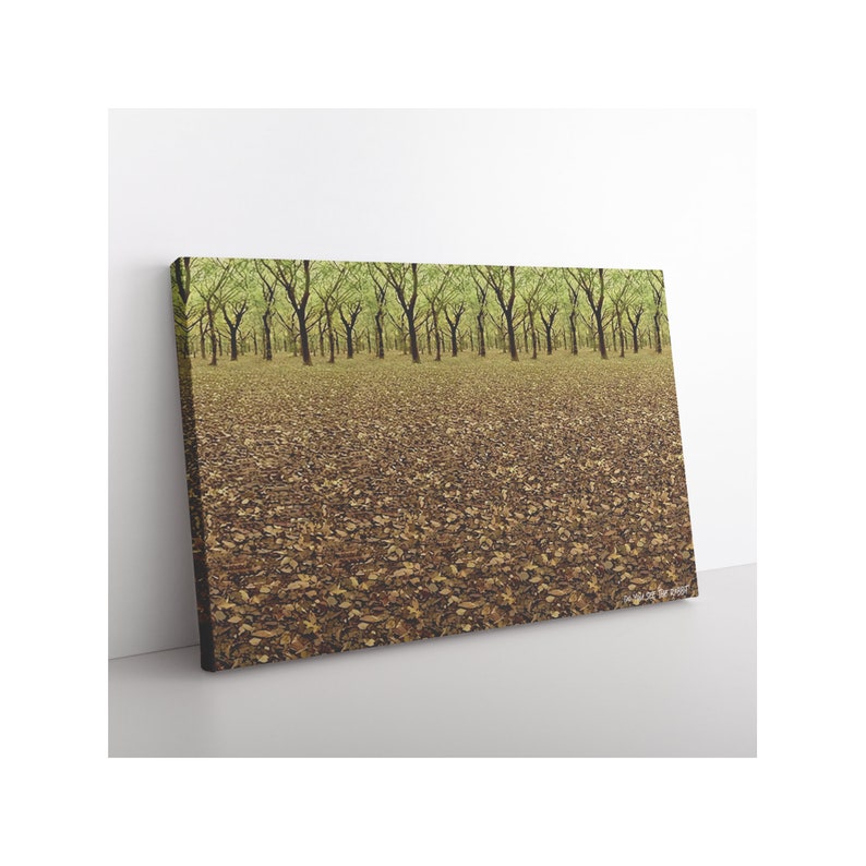 Eye Illusion Stereogram Poster Canvas-the Rabbit - Etsy