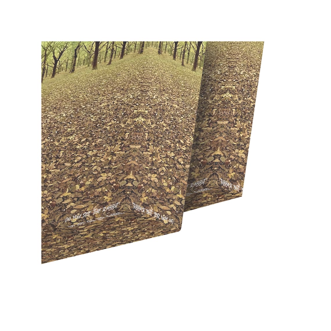 Eye Illusion Stereogram Poster Canvas-the Rabbit - Etsy