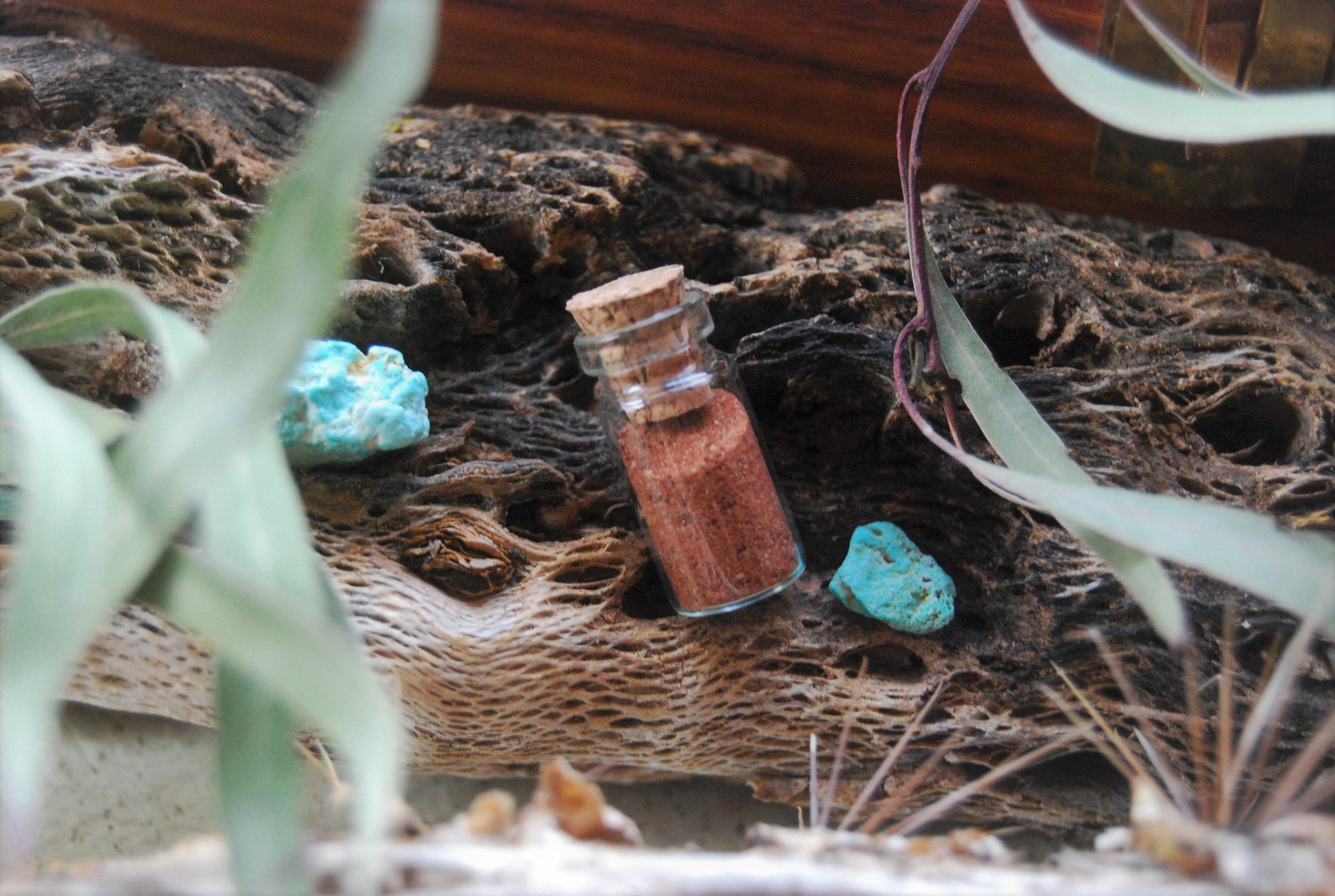 Sedona Boynton Canyon Vortex Sand Dirt Vial Natural Curios Metaphysical ...