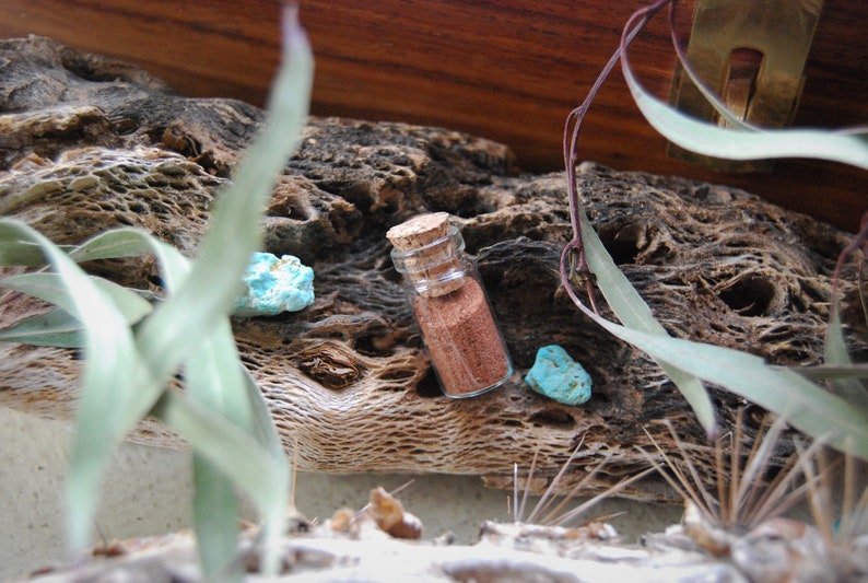 Sedona Boynton Canyon Vortex Sand Dirt Vial Natural Curios Metaphysical ...