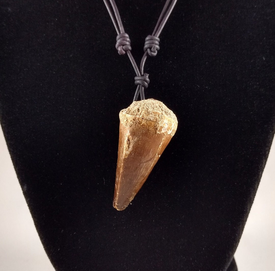 Dinosaur (mosasaur) Tooth Fossil Pendant Adjustable Leather Necklace ...