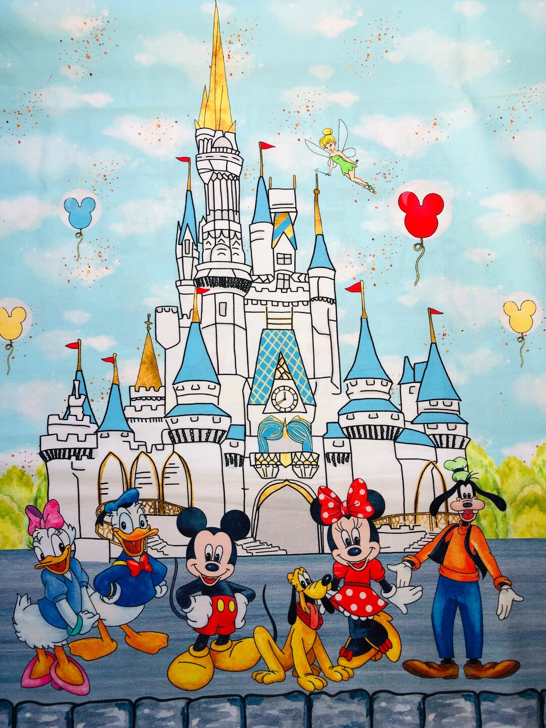 Disneyland Castle Panel - Etsy