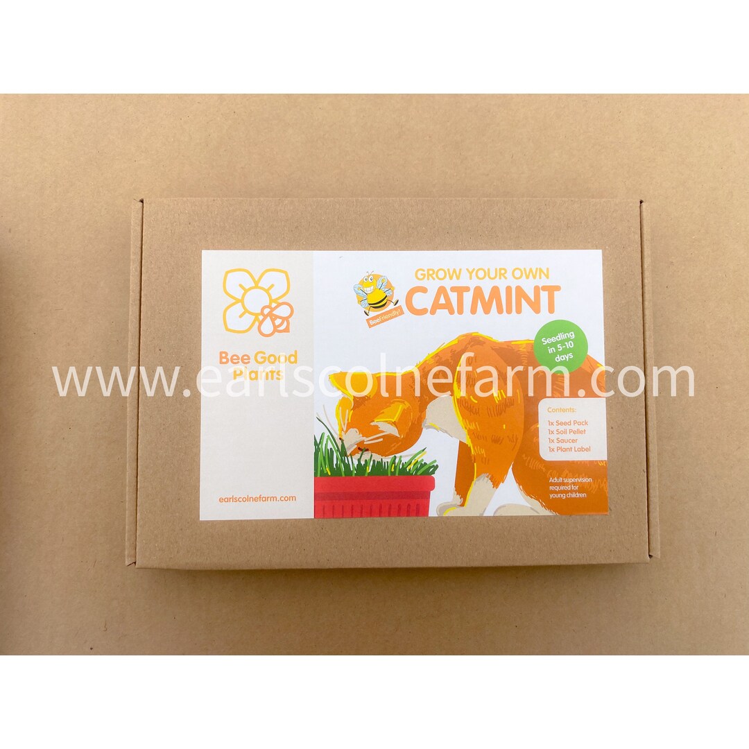 Grow Your Own Catmint/catnip Kit - Etsy UK