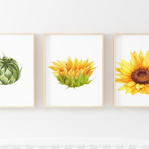 Sunflower Prints Set of 3-sunflower Art Prints-blooming | Etsy