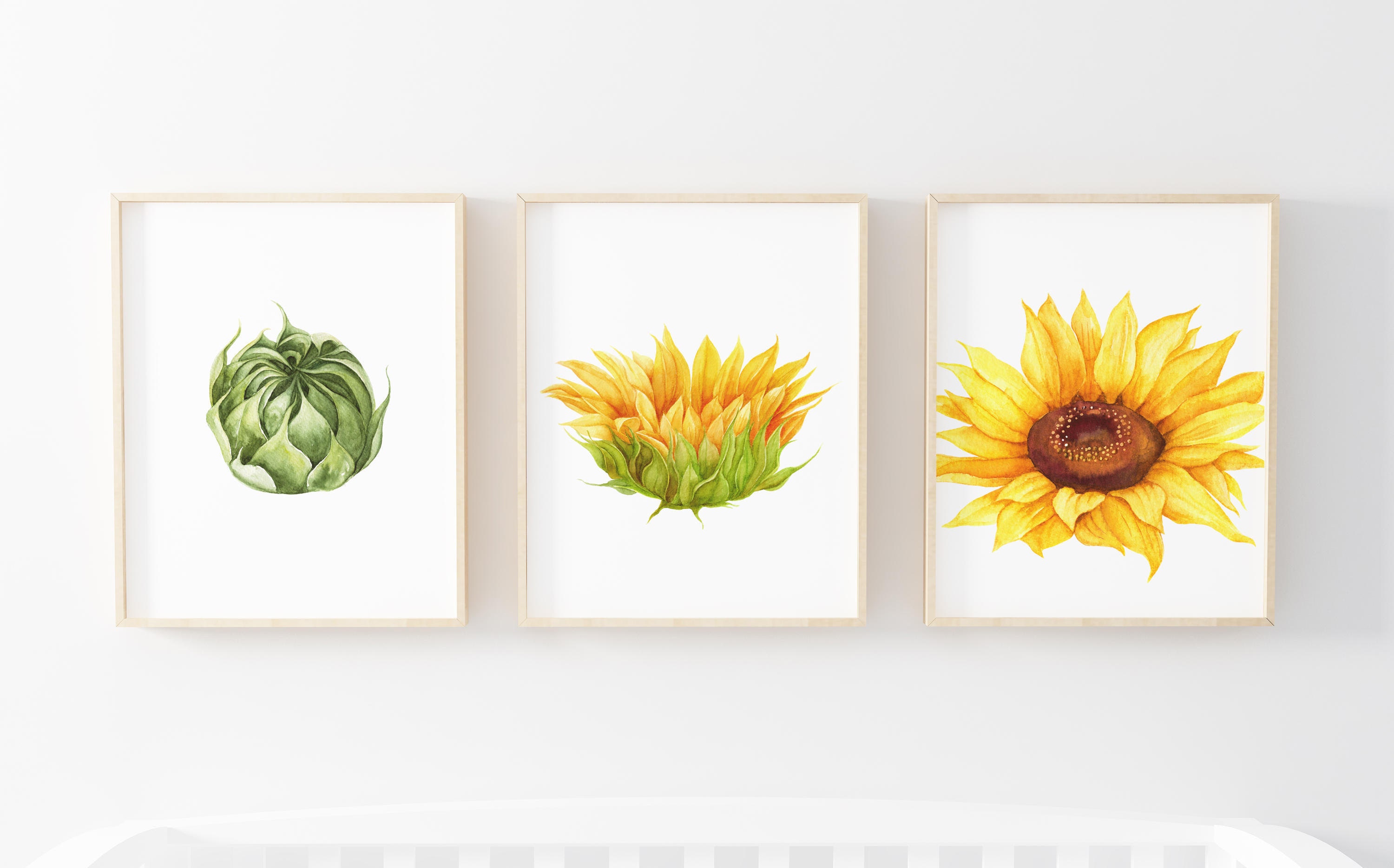 Sunflower Prints Set of 3-sunflower Art Prints-blooming | Etsy