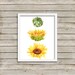 Sunflower Print-sunflower Art Print-blooming Sunflower-fall Print ...