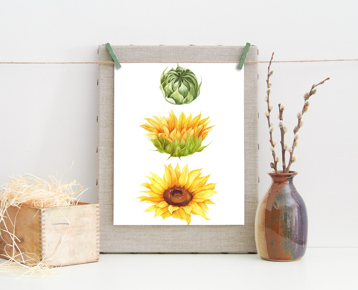 Sunflower Print-sunflower Art Print-blooming Sunflower-fall - Etsy