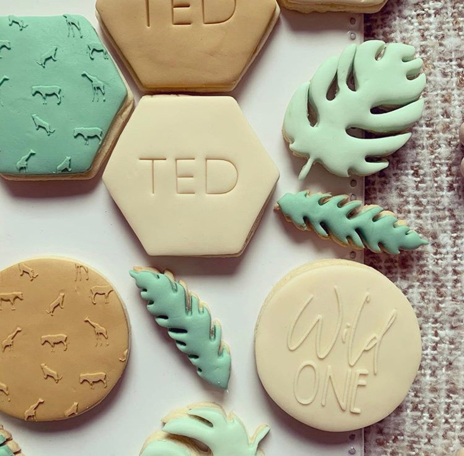 Wild One Cookie Embosser Baby Shower Cookie Stamp Baby - Etsy