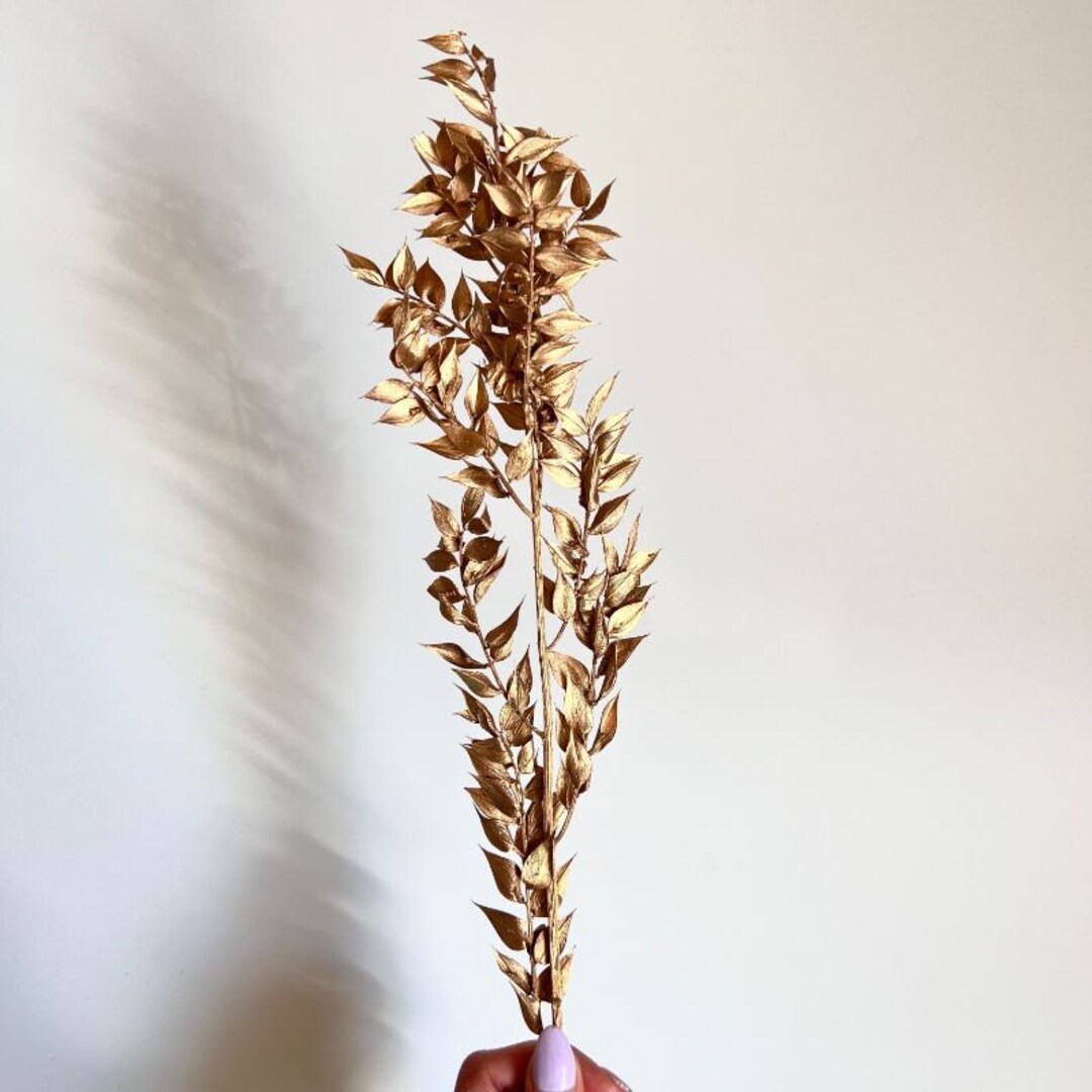 Antique Gold Preserved Ruscus for Cakes, 1 X Stem Dried Flowers Cake ...