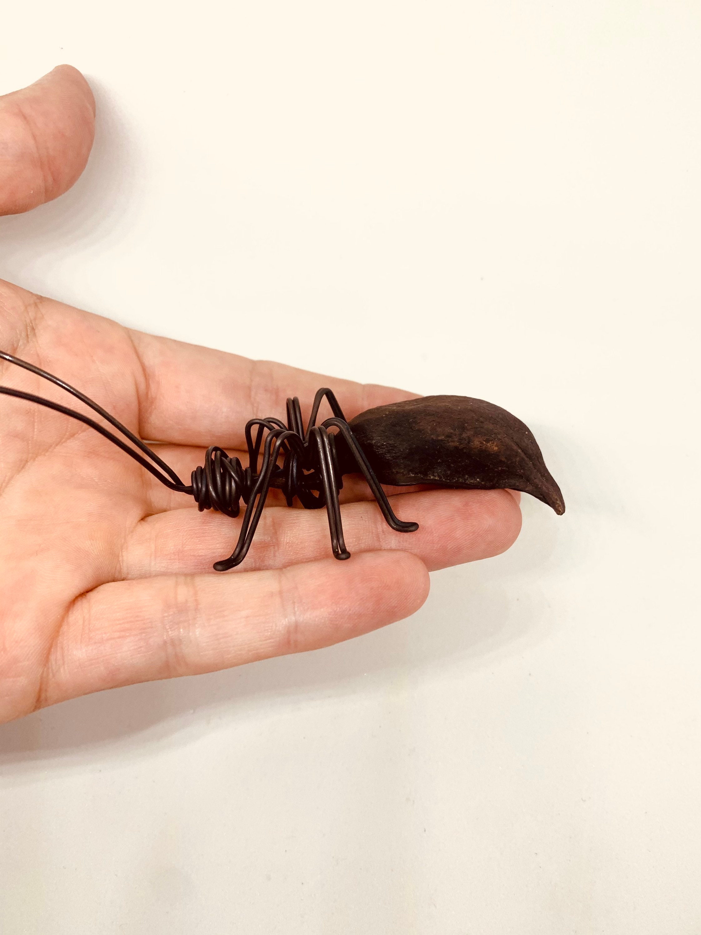 Ant on Wire With Tree Pod. Wire and Sheath. Wire Sculpture. Ficus Tree ...