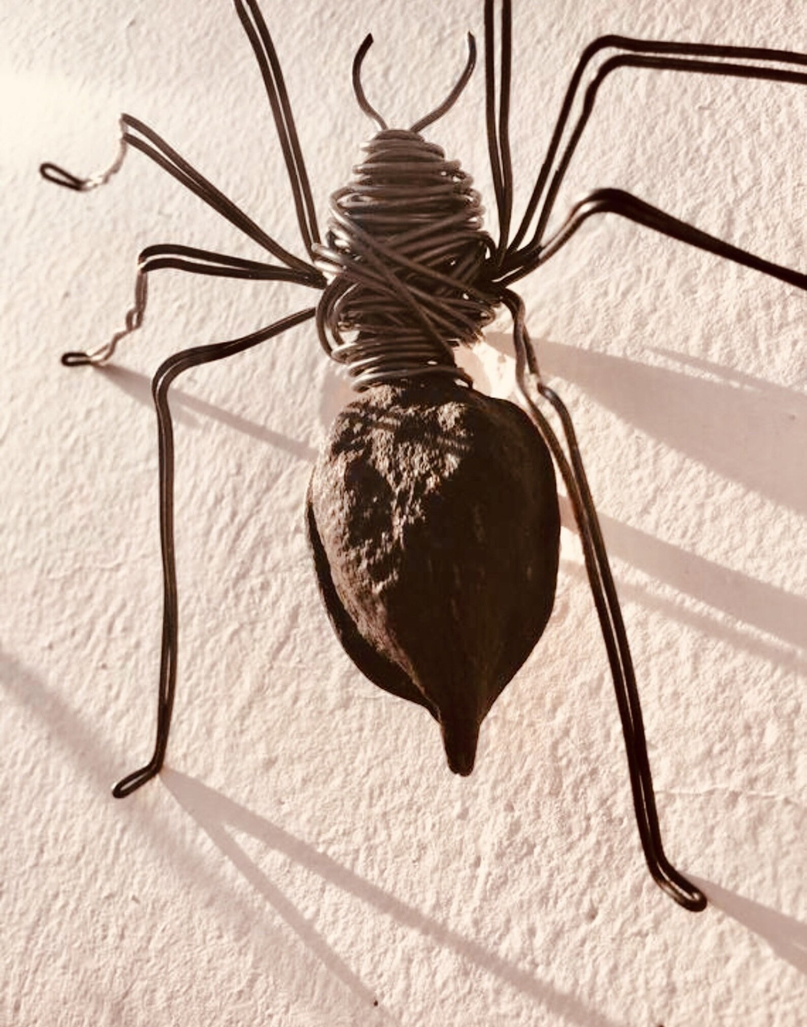 Wire spider. Spider and seed wire spider with Barcelona tree | Etsy