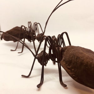 Black Ant. Insect Made of Wire. Ant With Seed. Ant Hand Made - Etsy