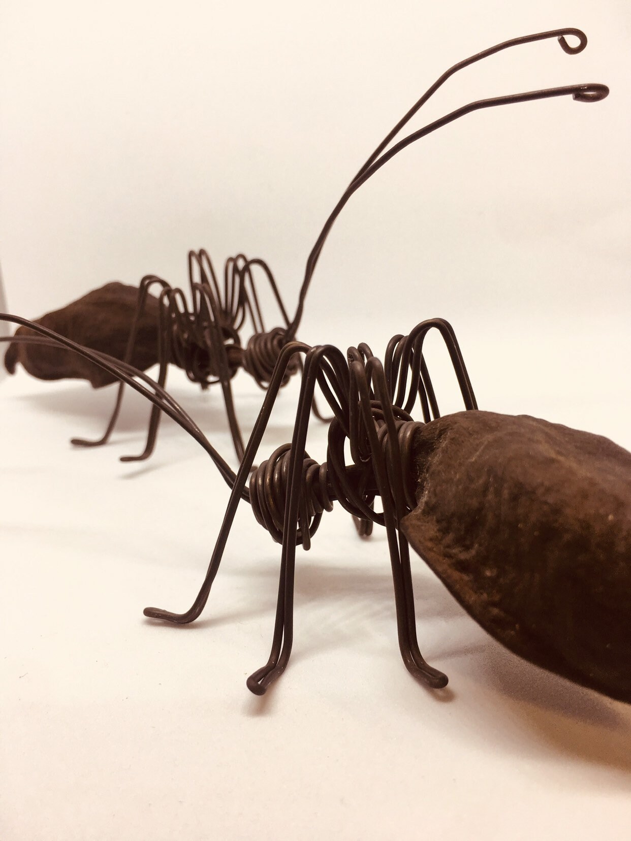 Black Ant. Insect Made of Wire. Ant With Seed. Ant Hand Made - Etsy