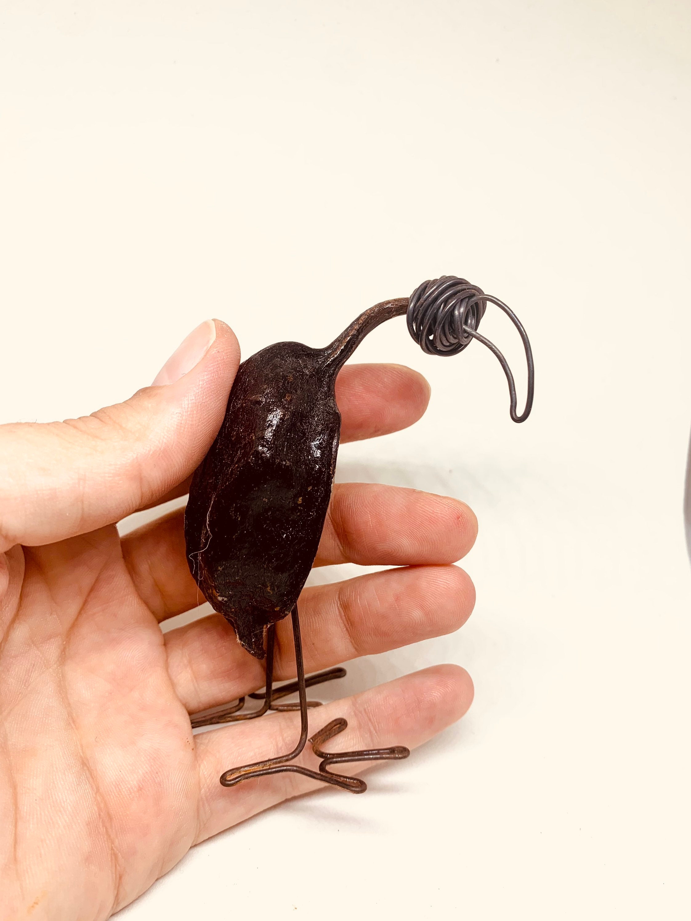 Dodo Bird. Bird Sculpture With Wire. Bird on Wire. Figure of a - Etsy