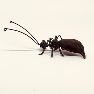 Ant on Wire With Tree Pod. Wire and Sheath. Wire Sculpture. Ficus Tree ...