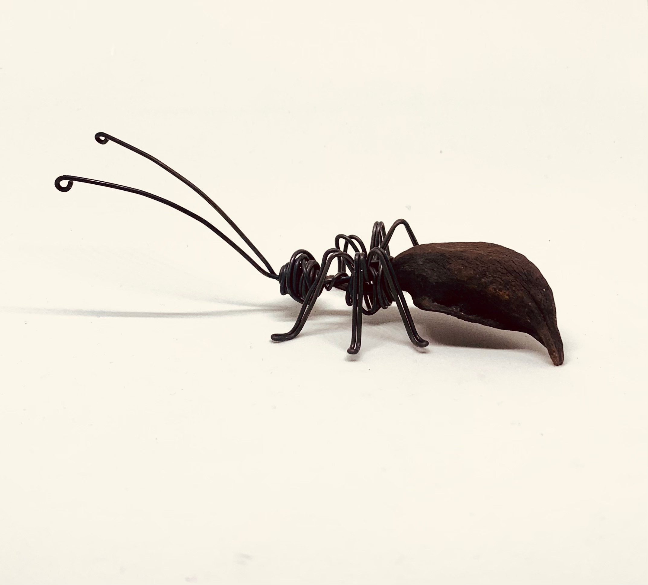 Ant on wire with tree pod. Wire and sheath. Wire sculpture. | Etsy